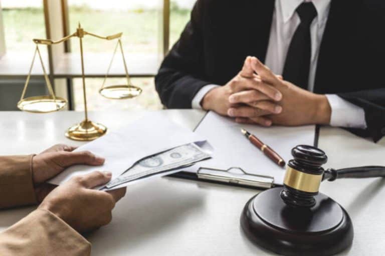 How Much Do Environmental Lawyers Make? Salary Guide