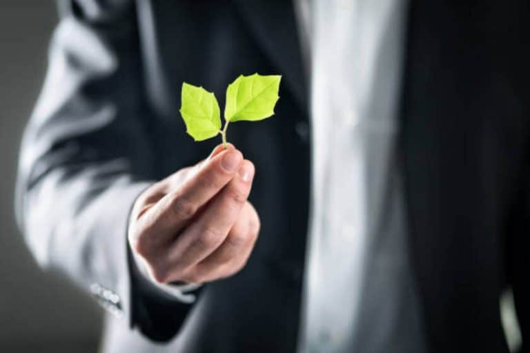 How Much Do Environmental Lawyers Make? Salary Guide