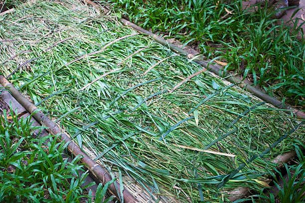 Find Out: Are Booby Traps Illegal in Your State?